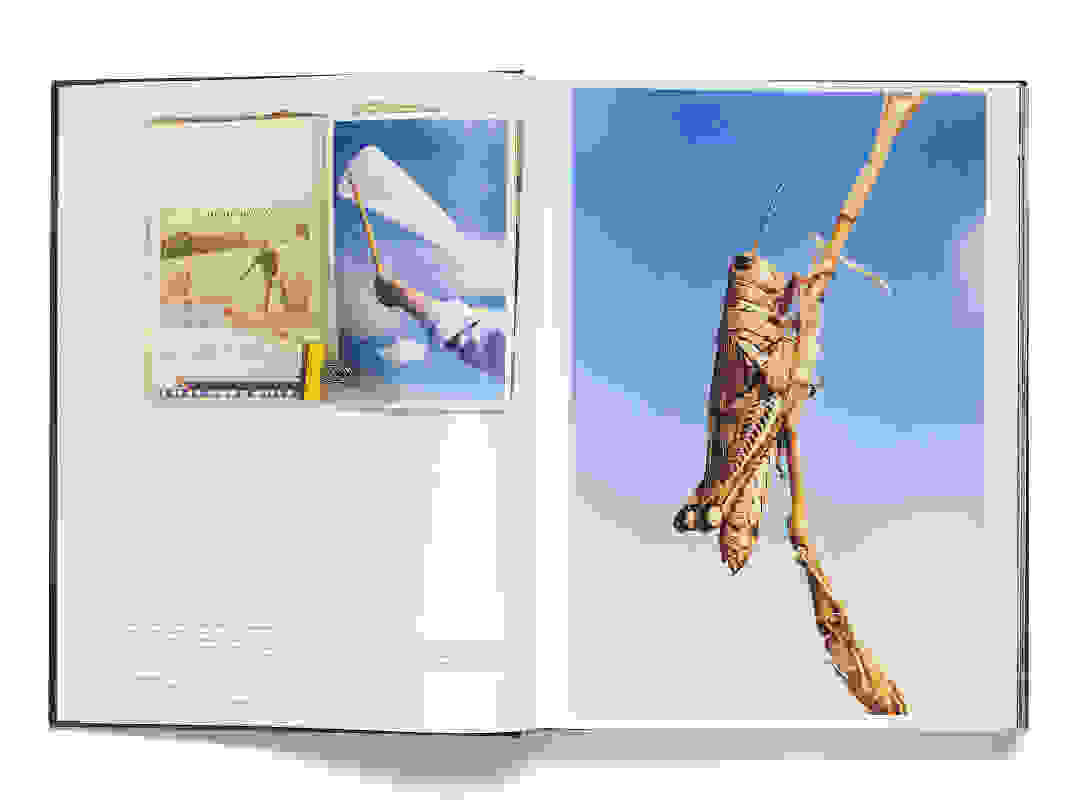 Tim Walker – Books –Pictures