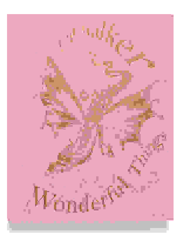 Tim Walker – Books –Wonderful Things